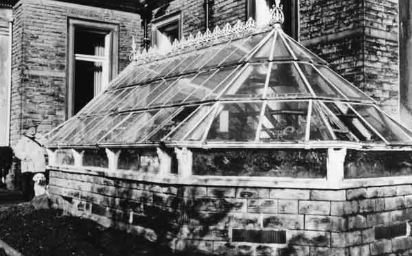 Tapton Court: When the nurses moved in