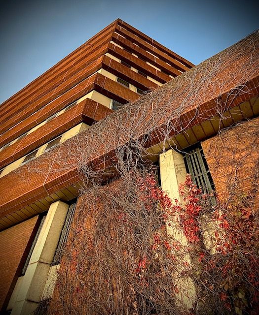 The mystery of the Moorfoot building
