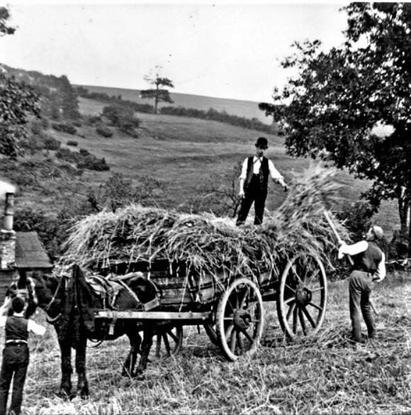 The last days of haymaking